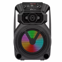 Boxa Portabila 20W Bluetooth Microfon Telecomanda, AUX, Radio, USB ...