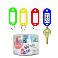 Set 50 Etichete Chei tip Breloc Plastic Colorat Inel Metalic 5.5x2cm ...